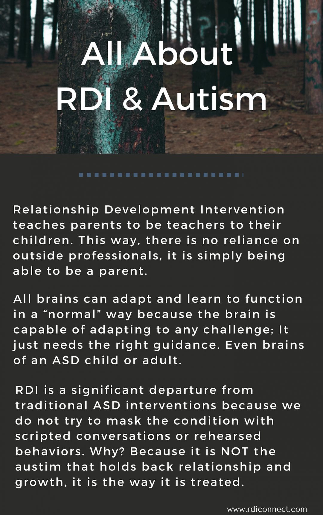 RDI: The Missing Piece of Autism Treatment | RDIconnect